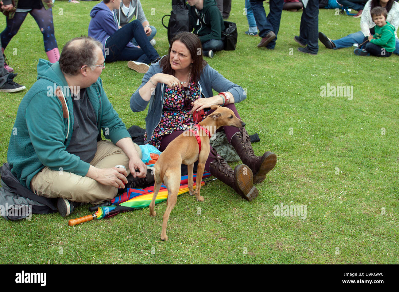 Festival-goers with a dog Stock Photo - Alamy