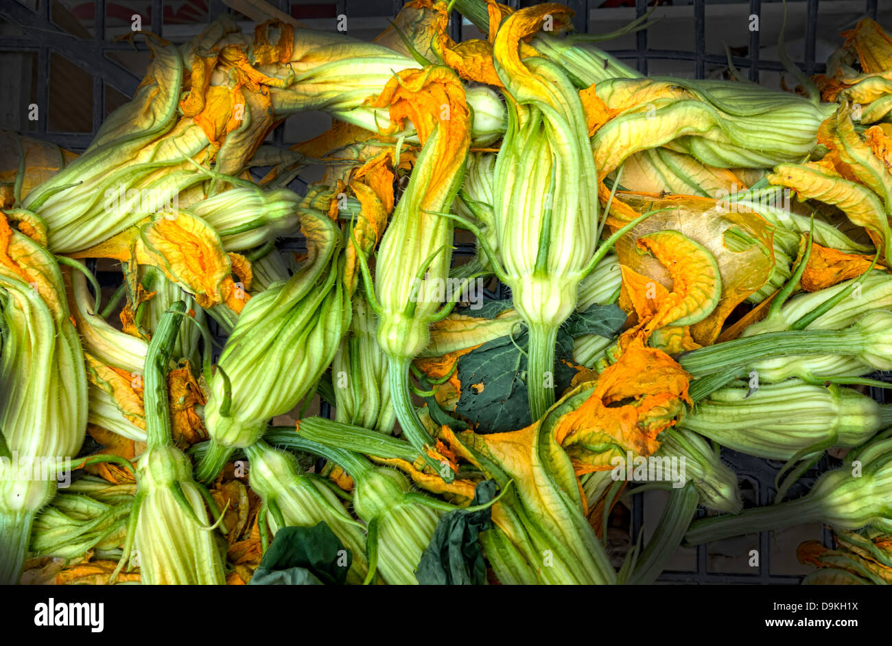 Courgettes zucchini close up hi-res stock photography and images - Alamy