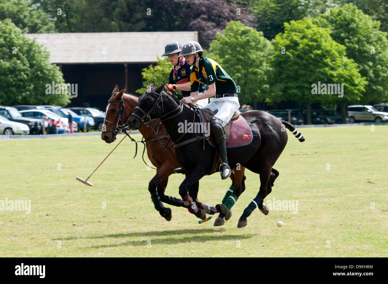 National University Polo Championships Stock Photo - Alamy
