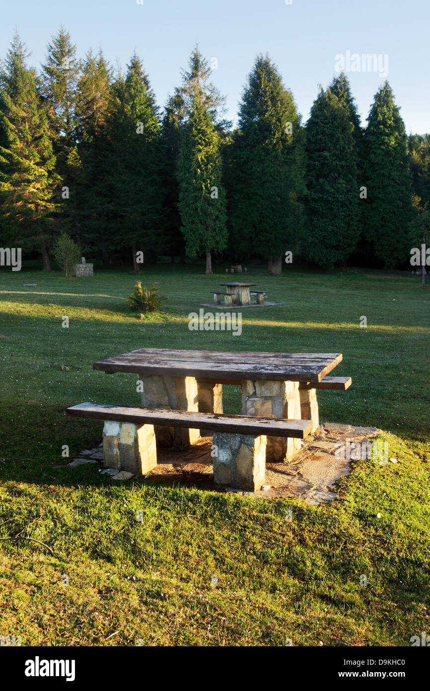 picnic table on grass with beautiful light Stock Photo - Alamy