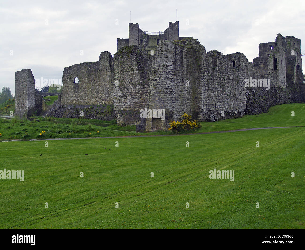 Trim Castle,County Meath,Ireland Stock Photo - Alamy