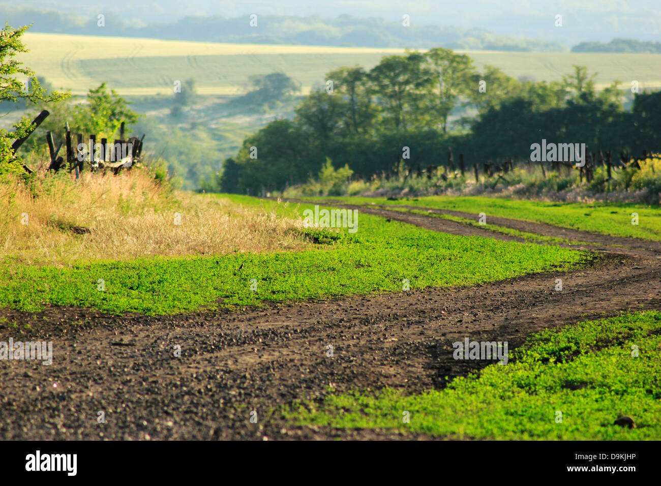 Country ground road curve perspective evening spring Stock Photo - Alamy