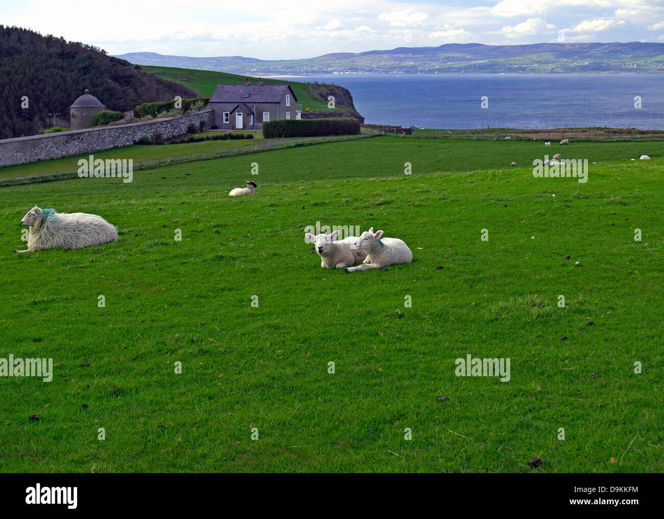 County antrium hi-res stock photography and images - Alamy