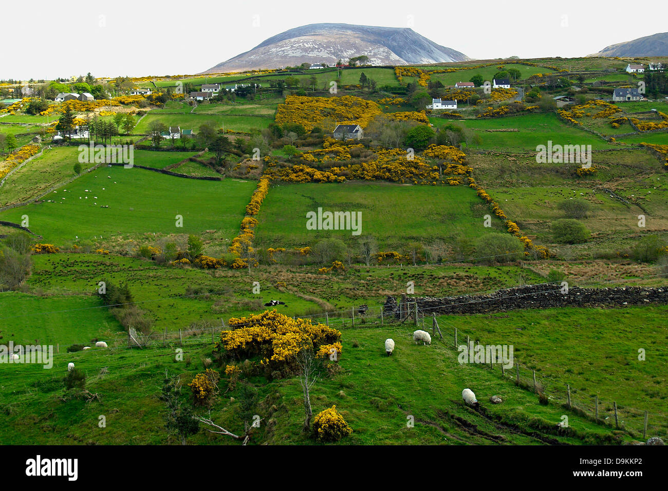 Mukish hi-res stock photography and images - Alamy