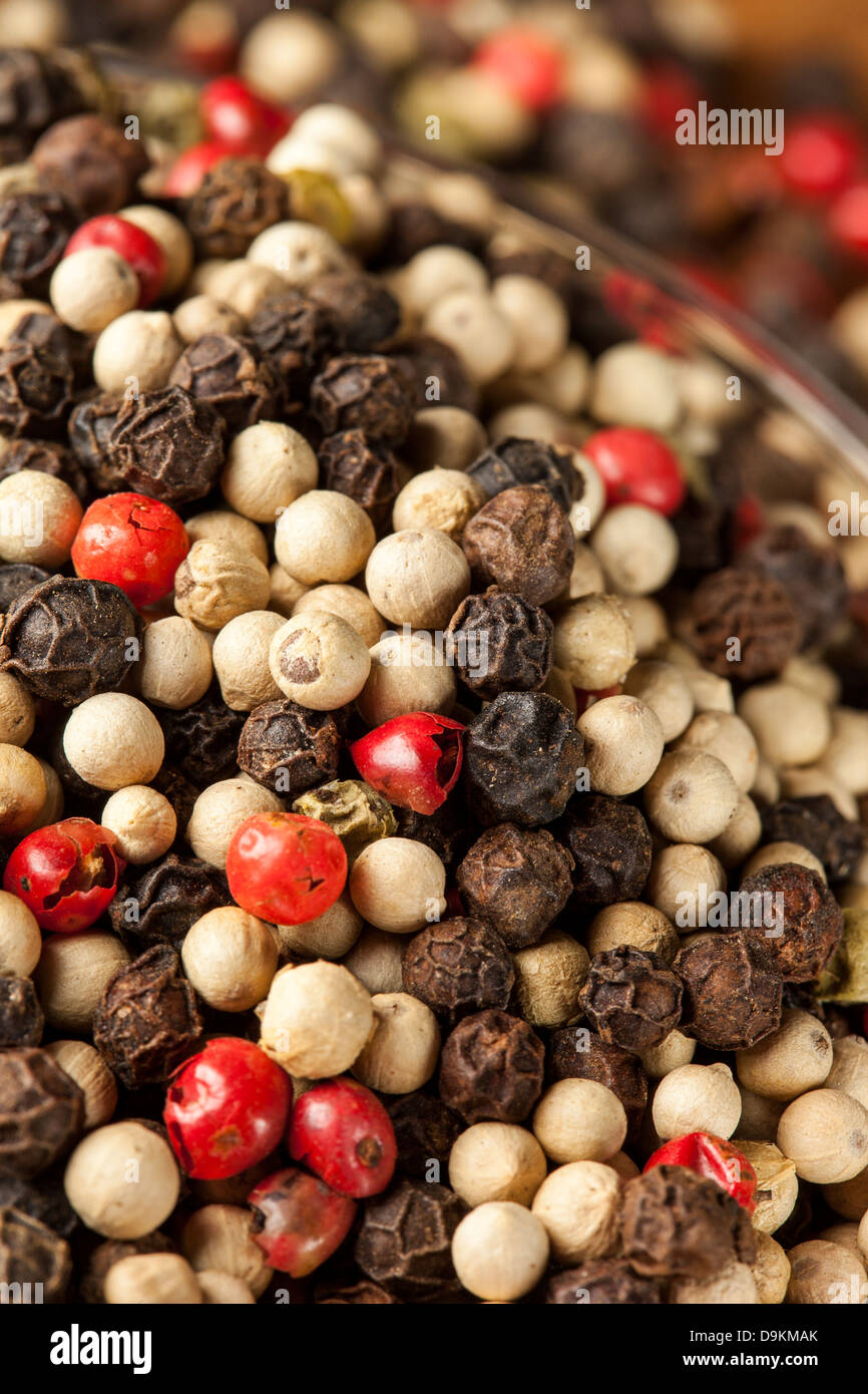 Spice four pepper hi-res stock photography and images - Alamy