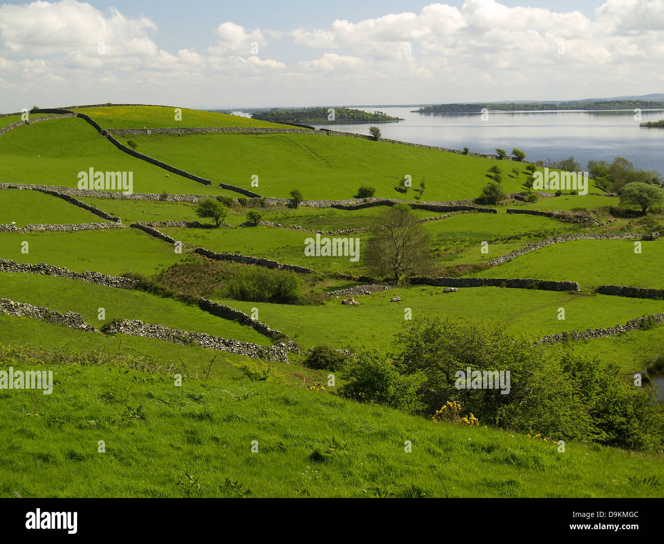 The green pastures of the Connemara,Ireland Stock Photo - Alamy