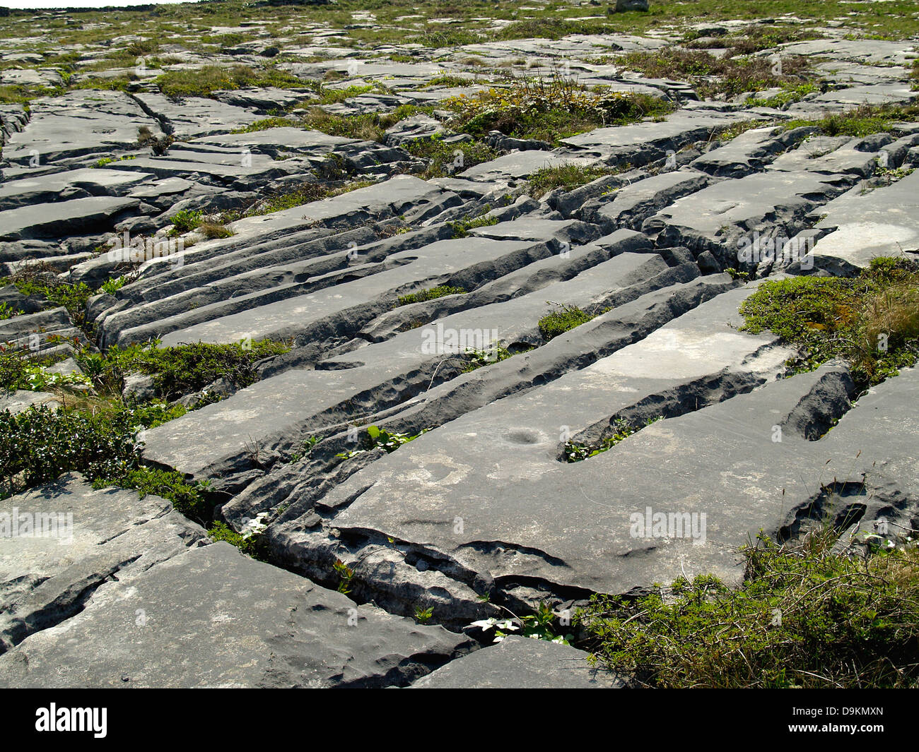 Fractured limestone rock of Inishmore,Aran Islands,Ireland Stock Photo ...