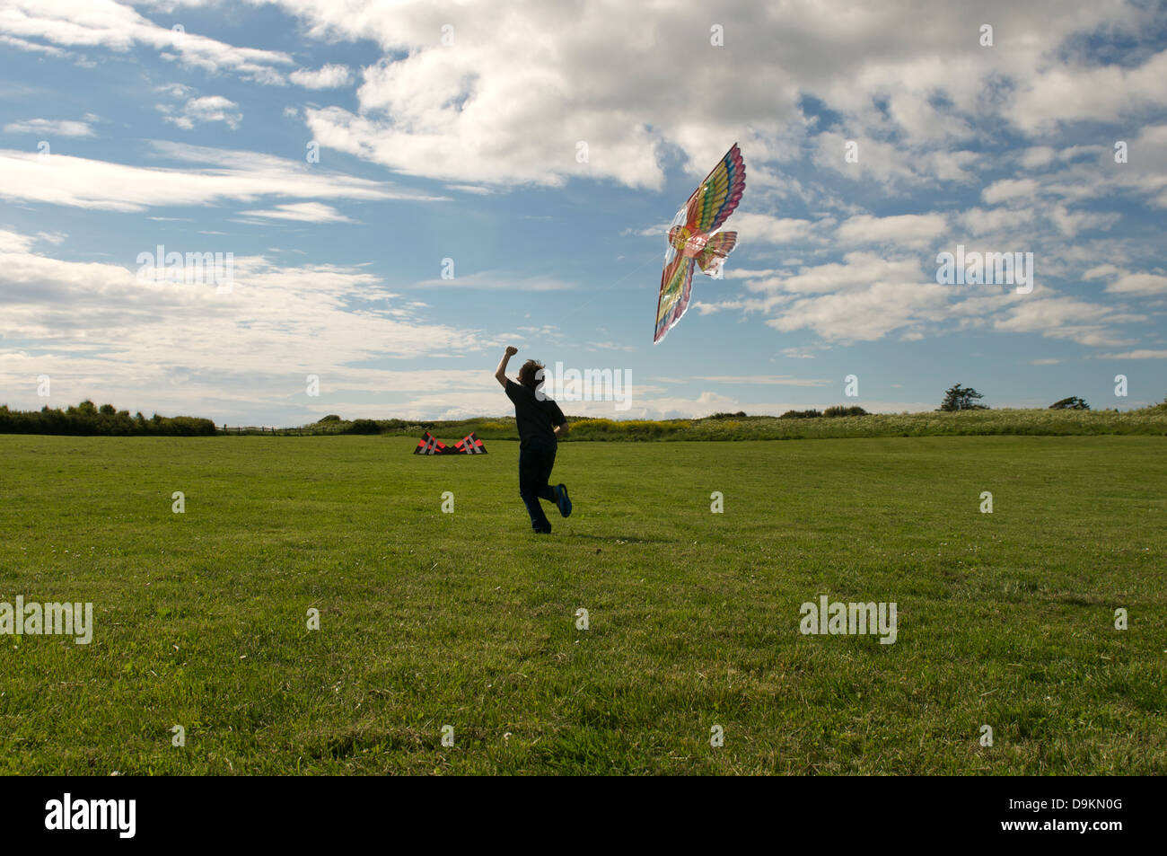 Go fly a kite hi-res stock photography and images - Alamy
