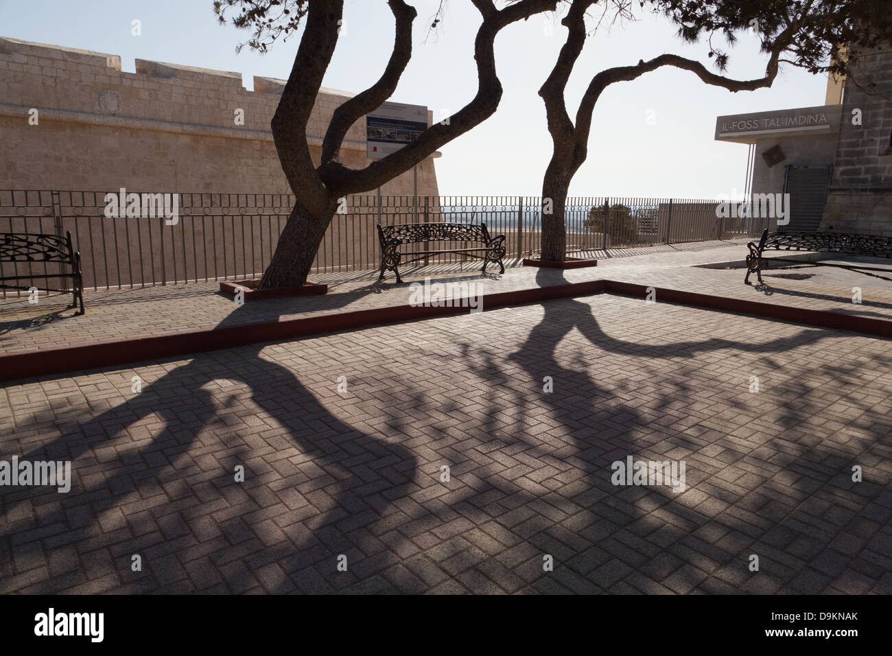 Malta trees hi-res stock photography and images - Alamy