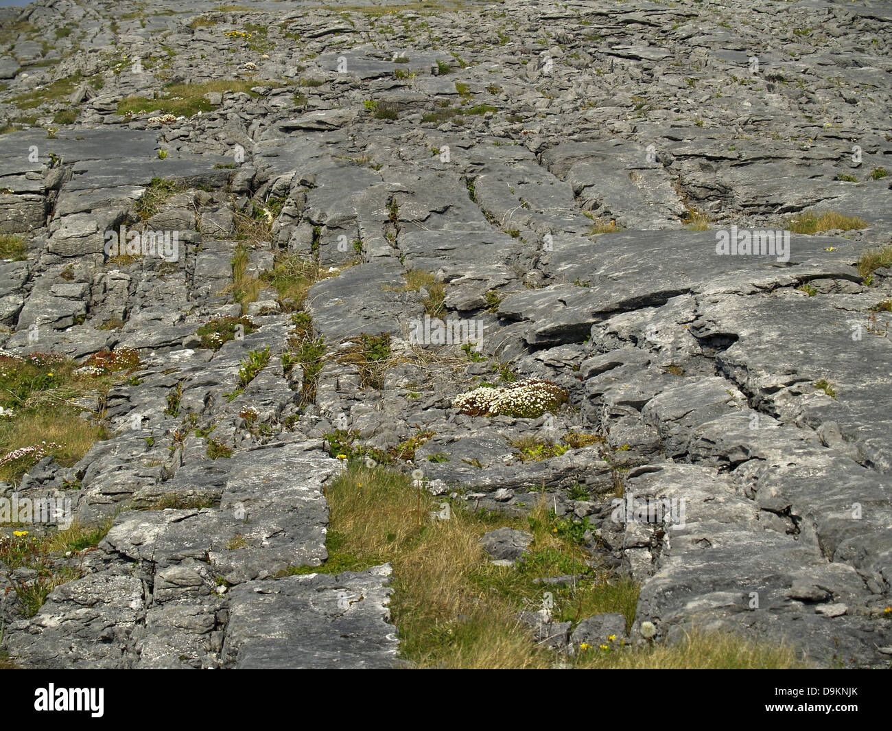 Fractured limestone rock of the Aran Islands,Ireland Stock Photo - Alamy