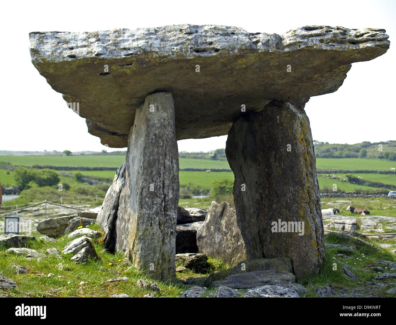 Pol na Brone Dolmen,County Clare,Ireland Stock Photo - Alamy