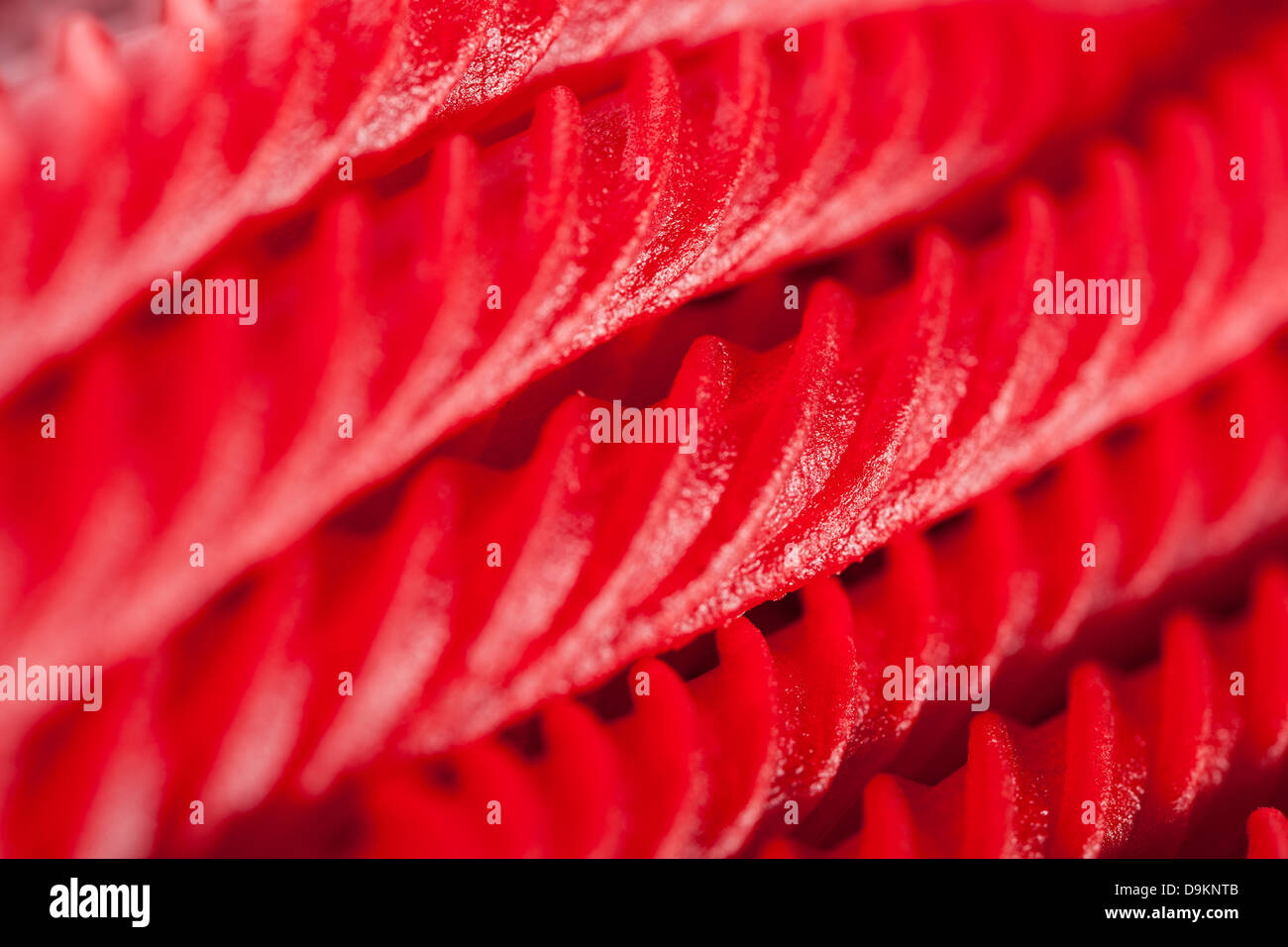 Twizzler Candy High Resolution Stock Photography and Images - Alamy
