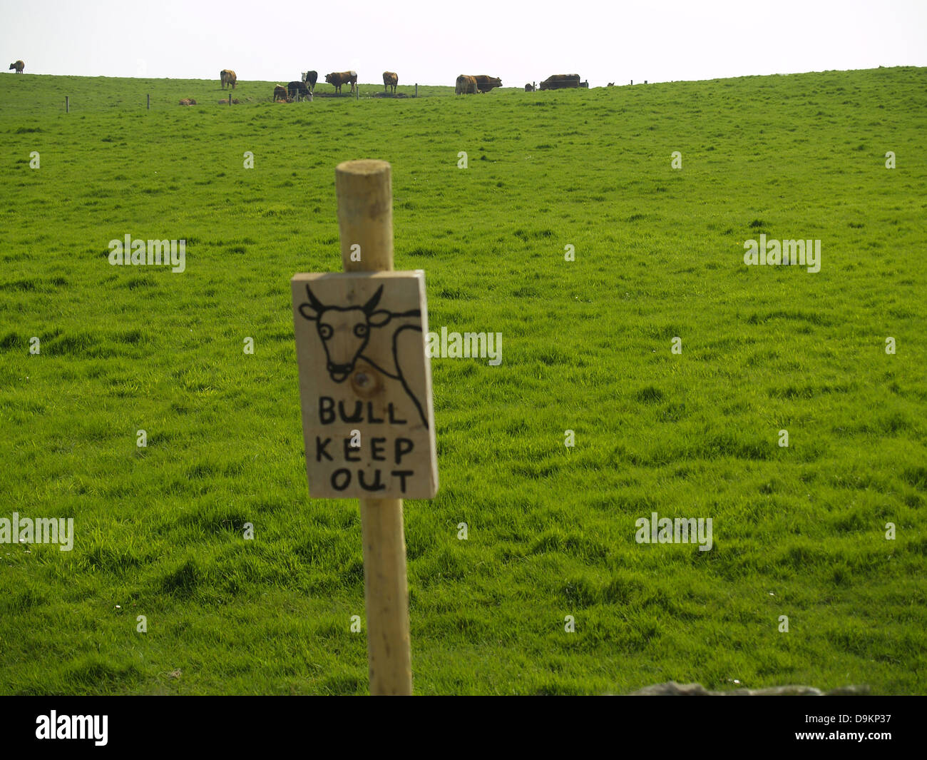 A warning about a dangerous bull at the Cliffs of Moher,Ireland Stock ...