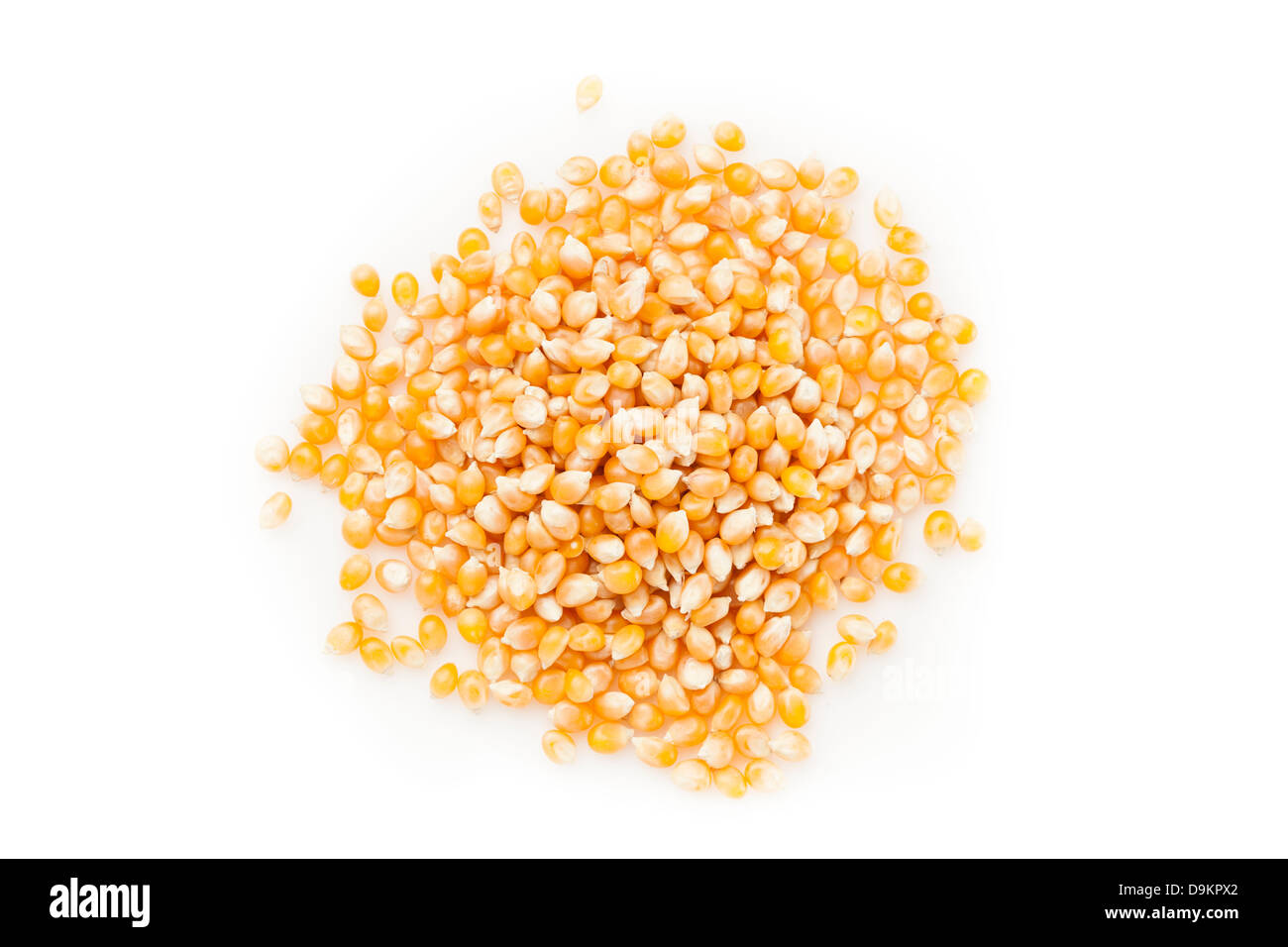 Organic Yellow Raw Corn Kernels against a background Stock Photo - Alamy
