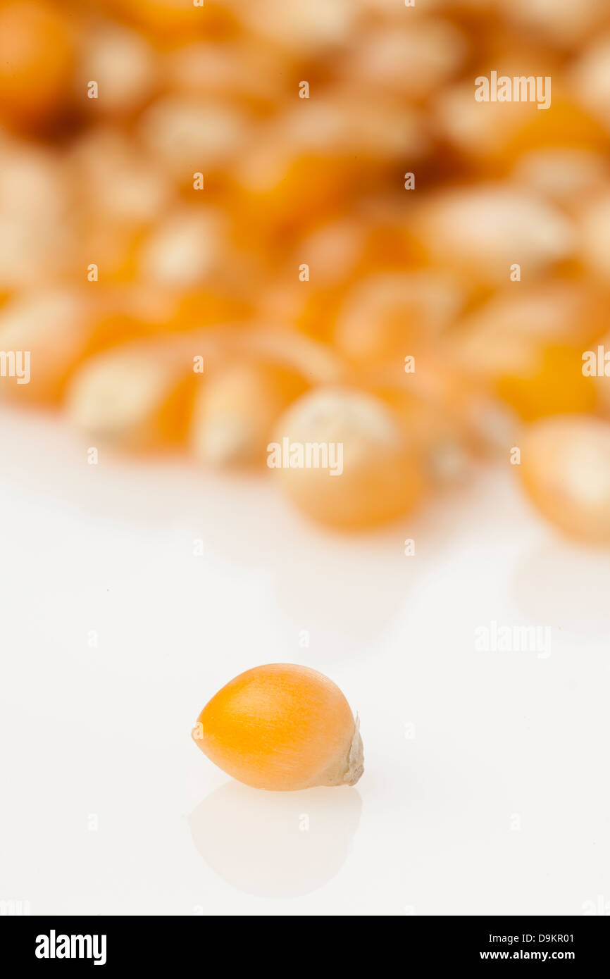 Maize kernel kernels corn hi-res stock photography and images - Alamy