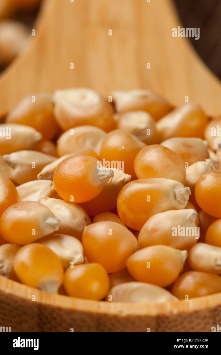 Organic Yellow Raw Corn Kernels against a background Stock Photo - Alamy