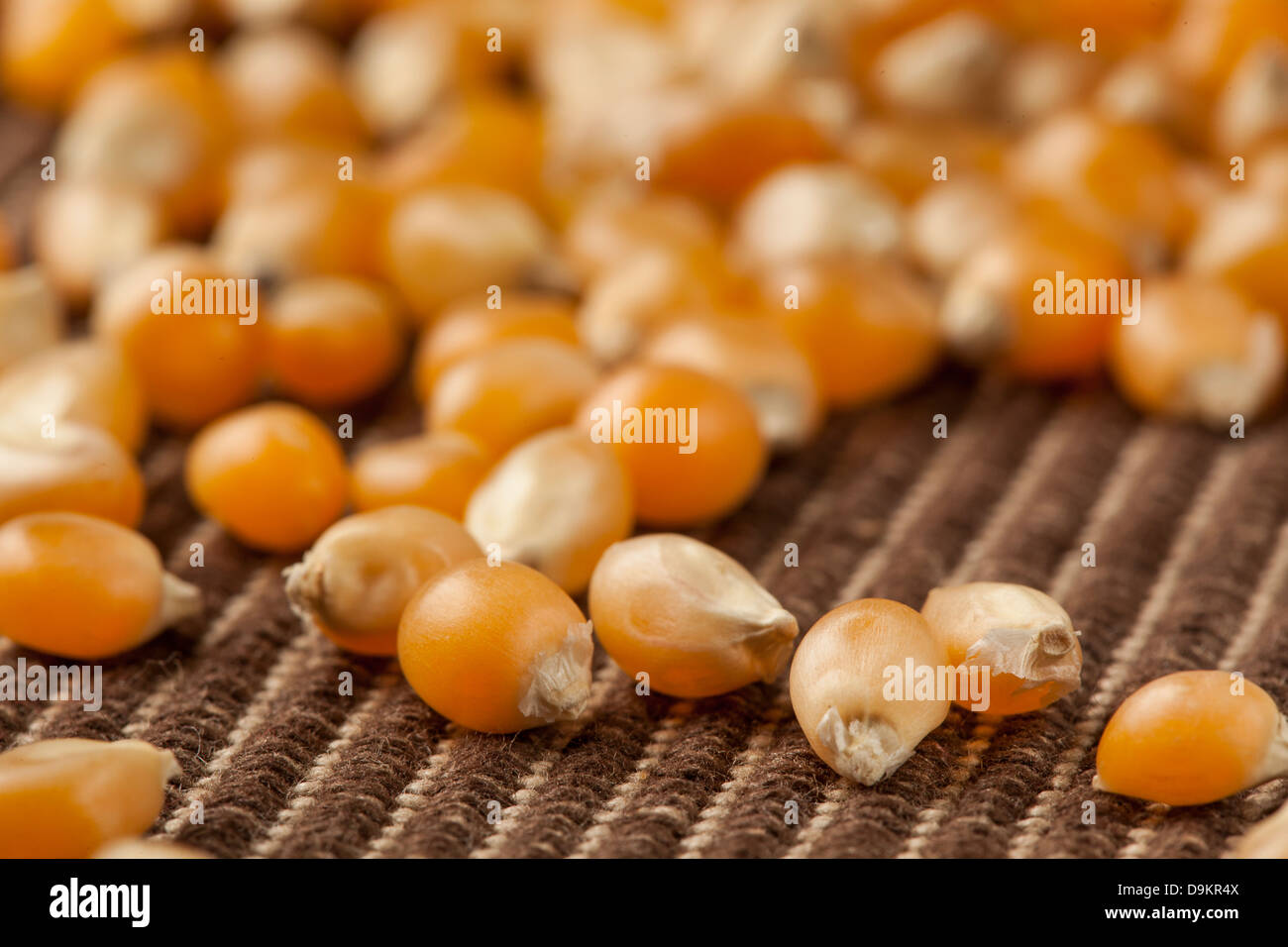 Organic Yellow Raw Corn Kernels against a background Stock Photo - Alamy