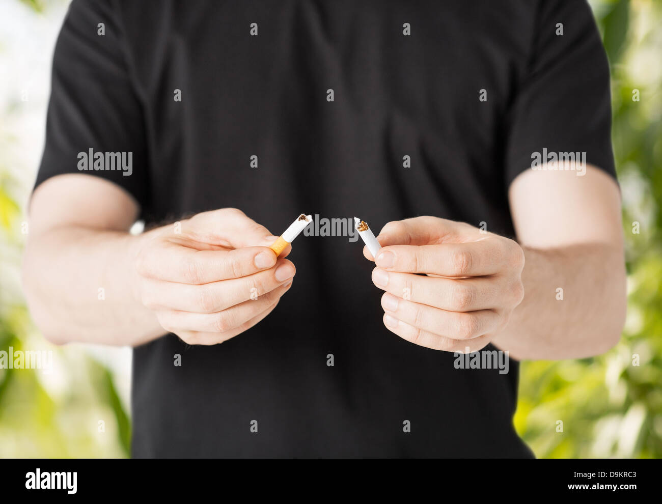 man breaking the cigarette with hands Stock Photo - Alamy