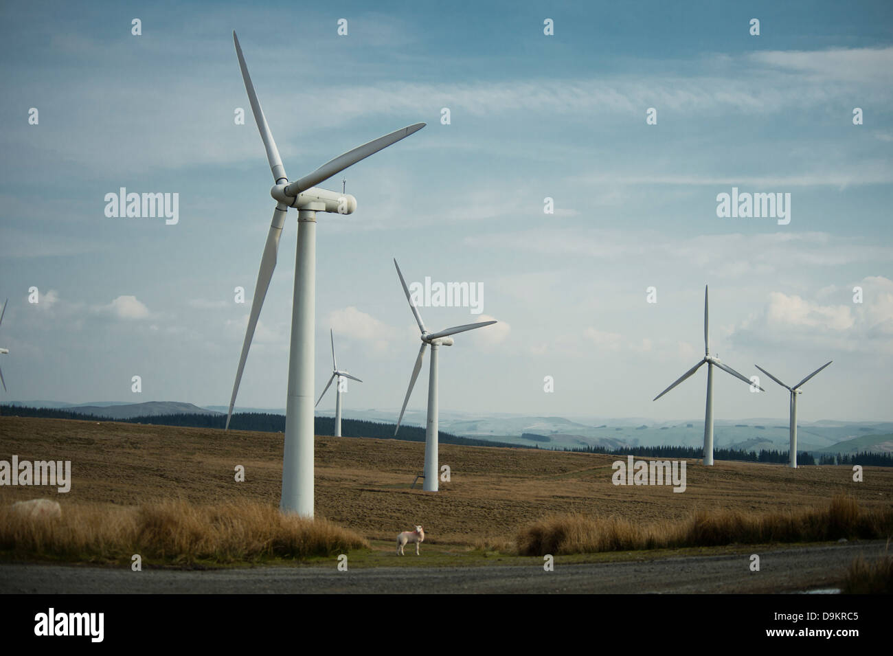 Carno Wind Farm High Resolution Stock Photography and Images - Alamy