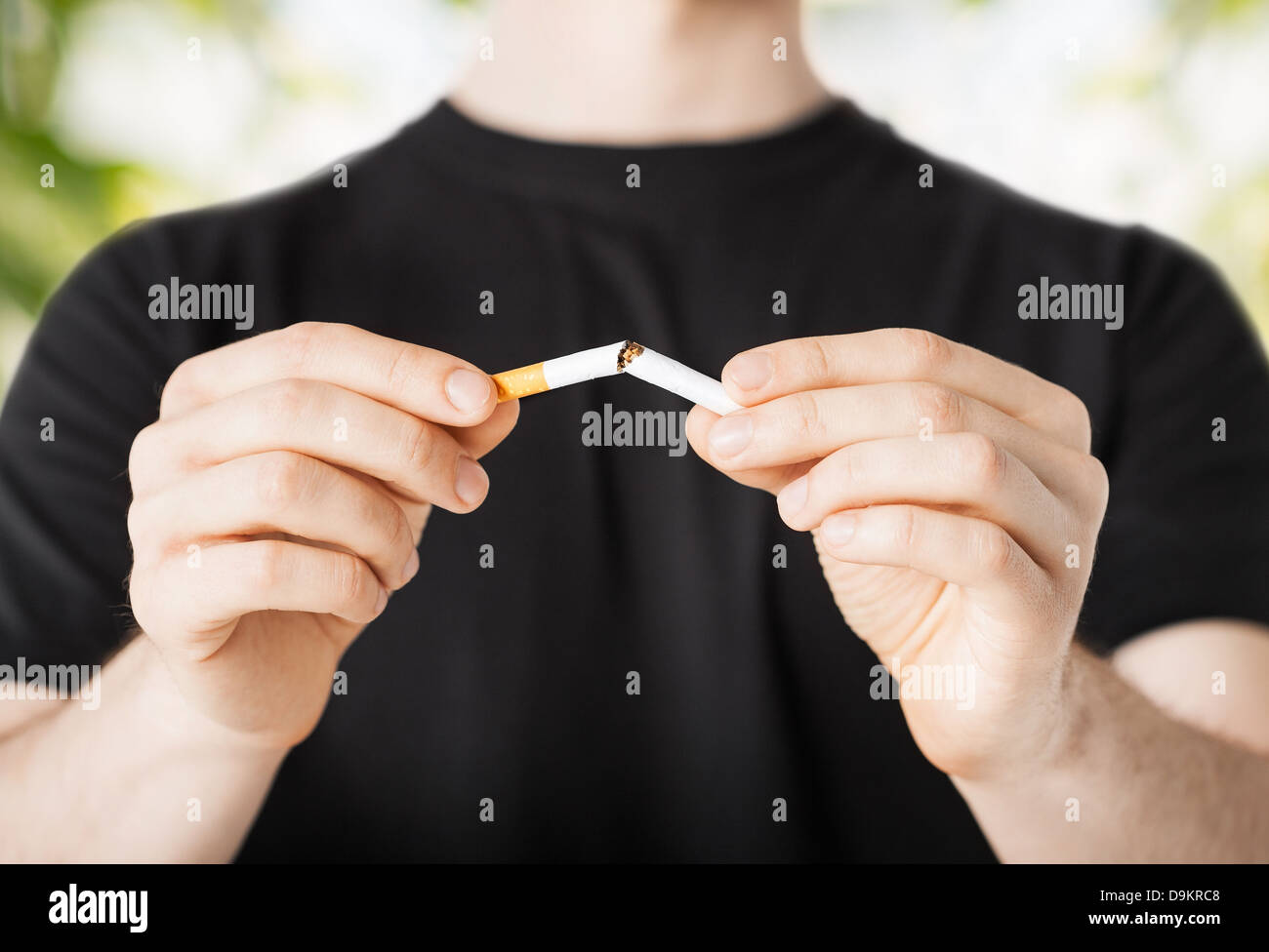 man breaking the cigarette with hands Stock Photo - Alamy