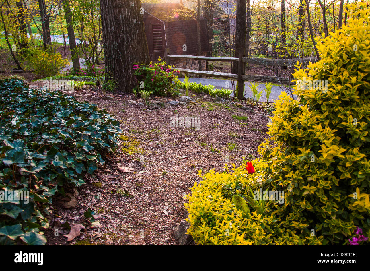 Nature garden forest spring color foliage hi-res stock photography and ...