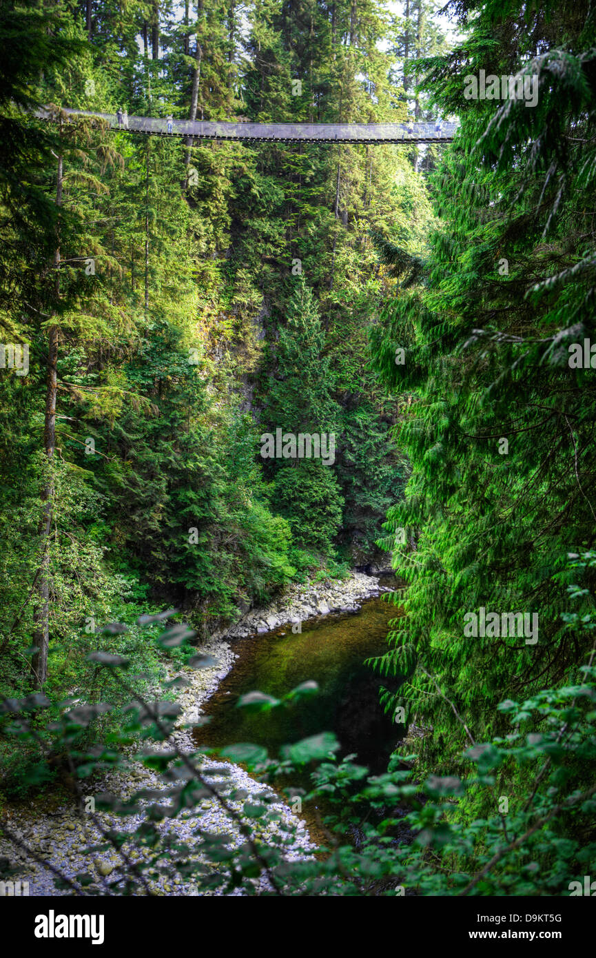 A vertical view of the Capilano Bridge suspended over a tree line gorge ...