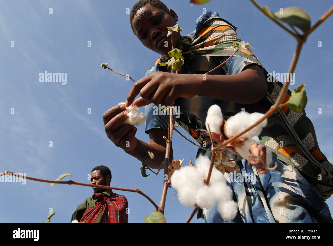 Africa TANZANIA organic cotton project biore of swiss yarn trader Remei ...