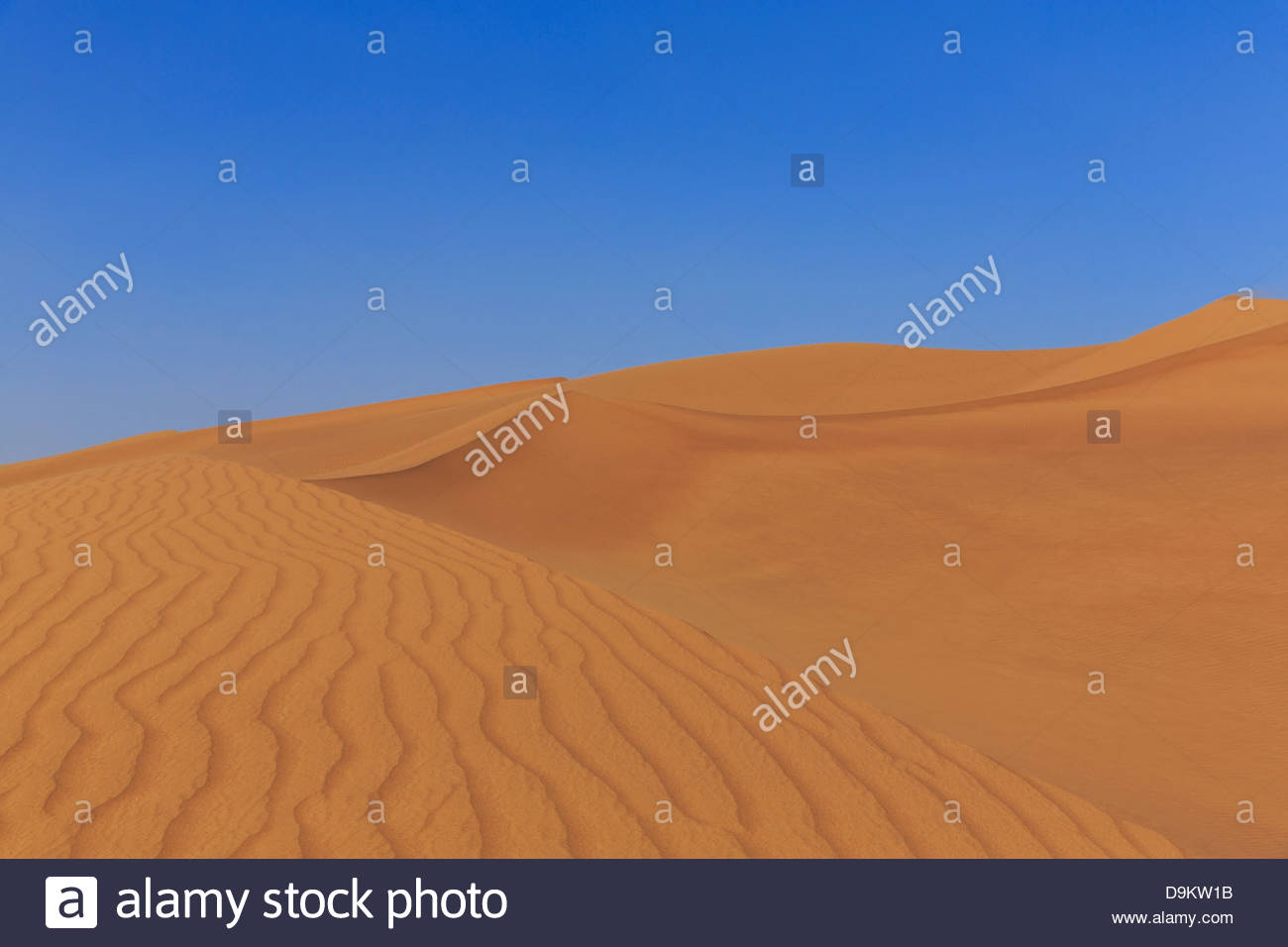 Dubai Sand Dunes Desert Stock Photos & Dubai Sand Dunes Desert Stock ...