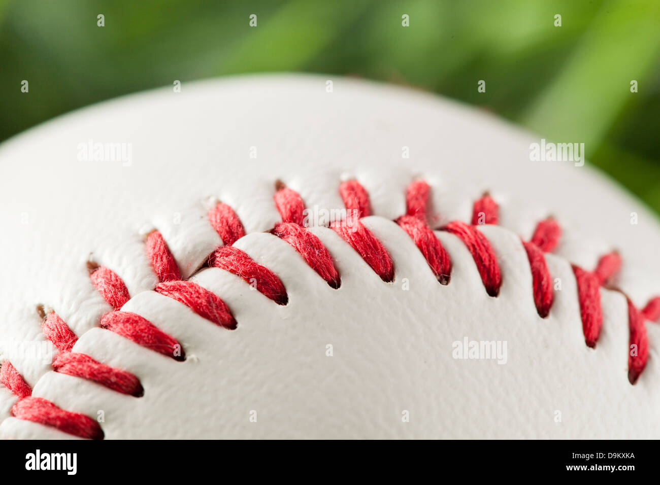 Brand New White Baseball in green grass Stock Photo - Alamy
