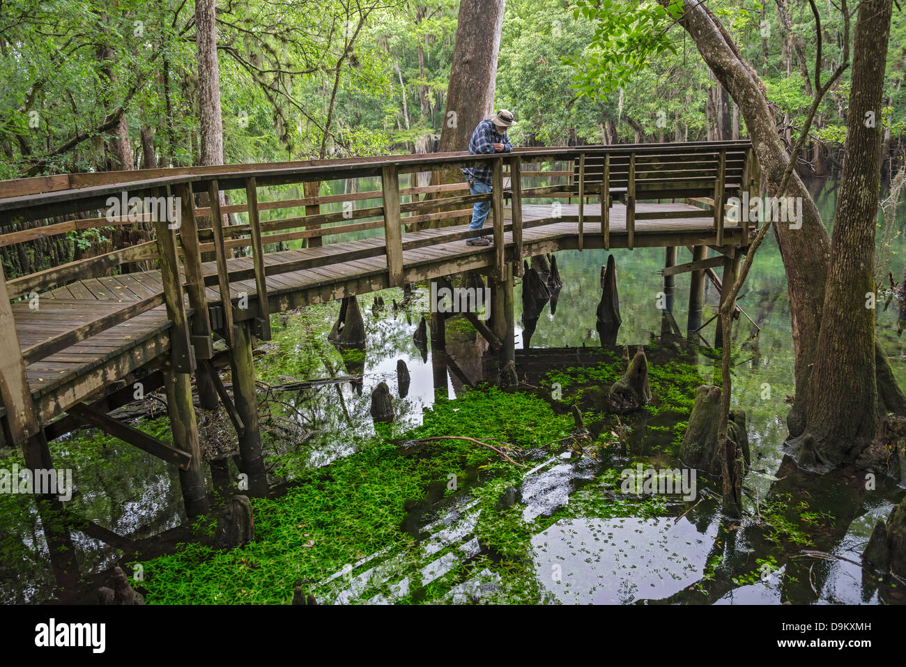 Manatee springs state park hi-res stock photography and images - Alamy