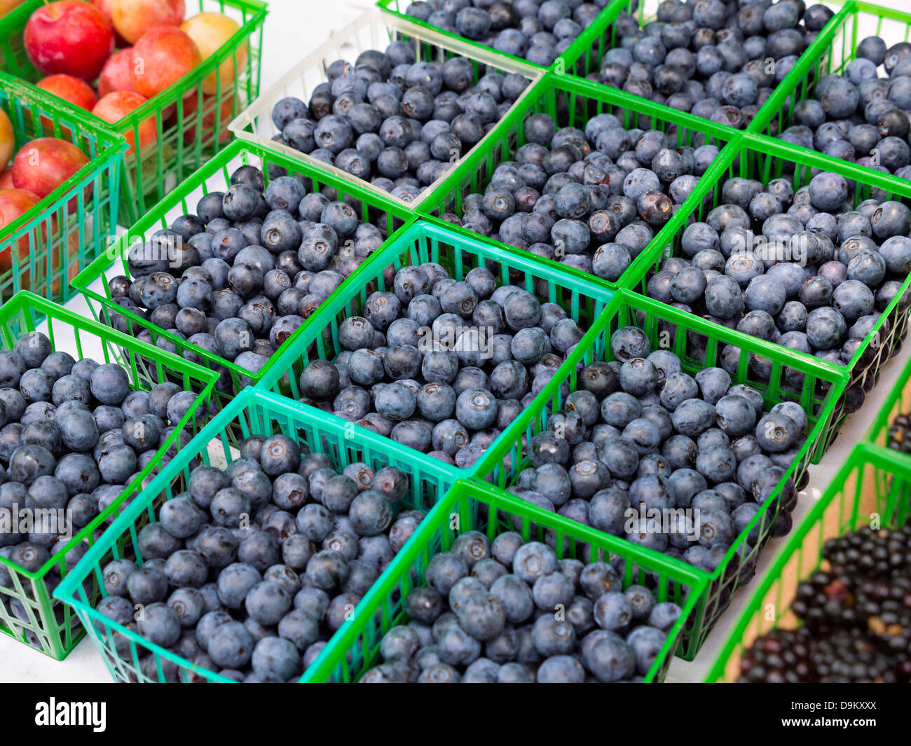 Ripe blueberries for sale at a local farmer's market in Bluffton, South ...