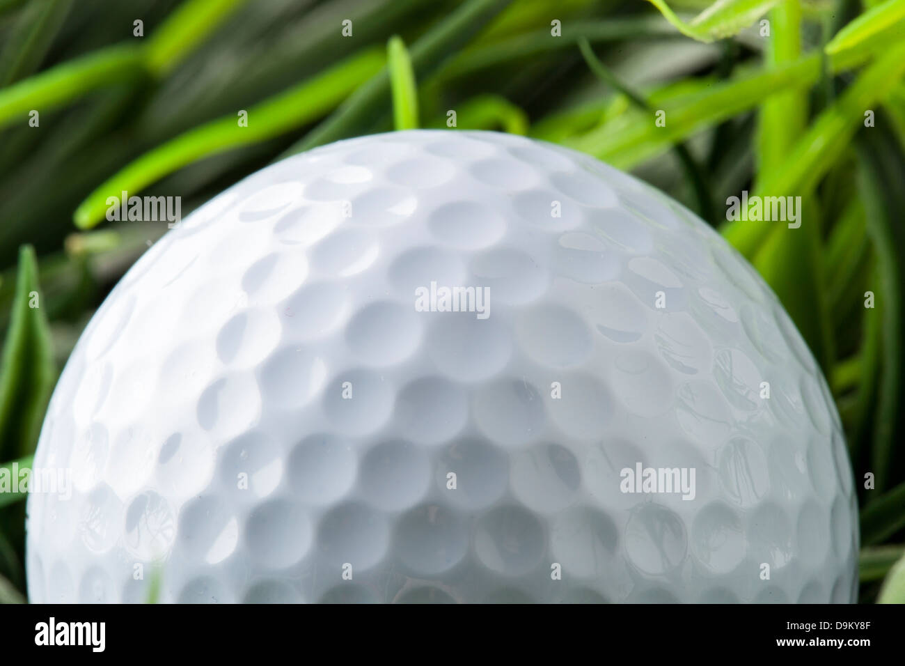 Pure White Golfball on bright green grass Stock Photo - Alamy
