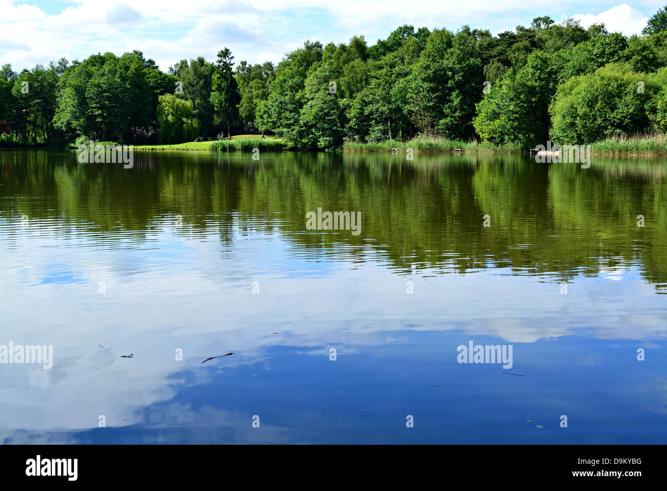 Silvermere hi-res stock photography and images - Alamy