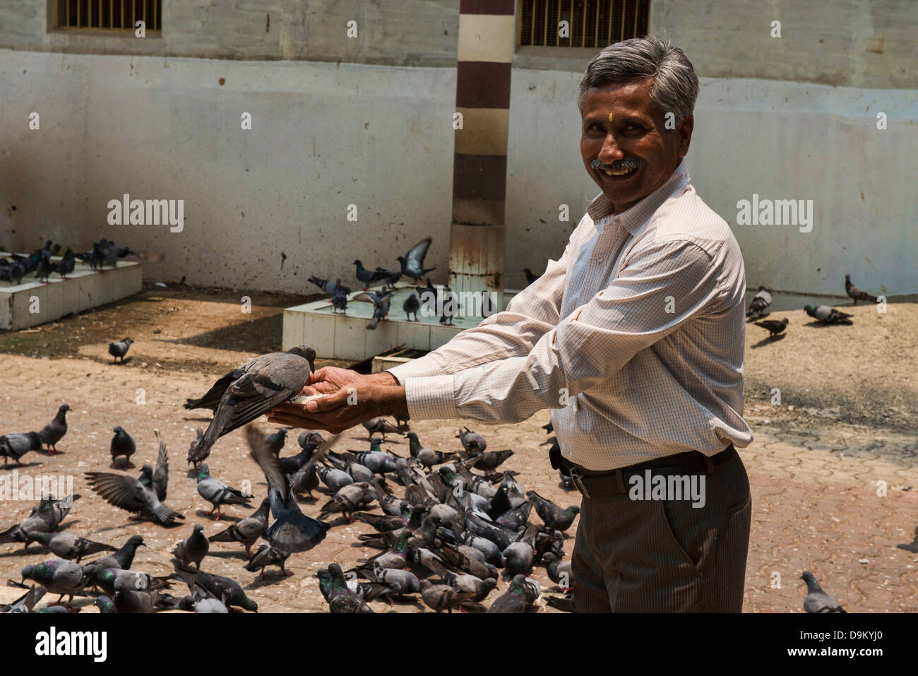 daily prayer and feeding ritual of the pigeons at the Dharmanath Jain ...