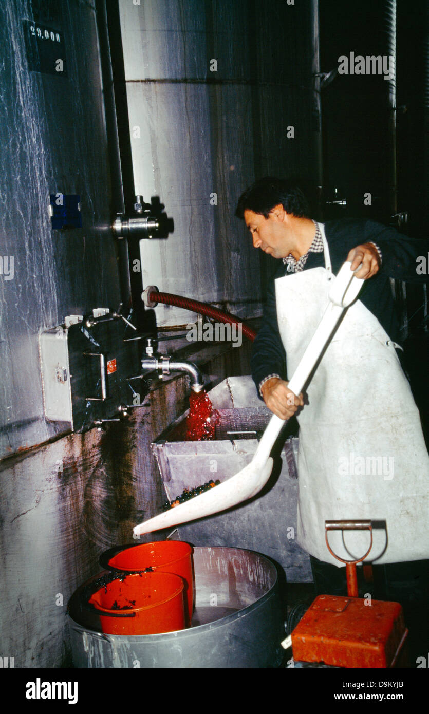 Santiago Chile Removing Grape Skins From Wine Stock Photo - Alamy