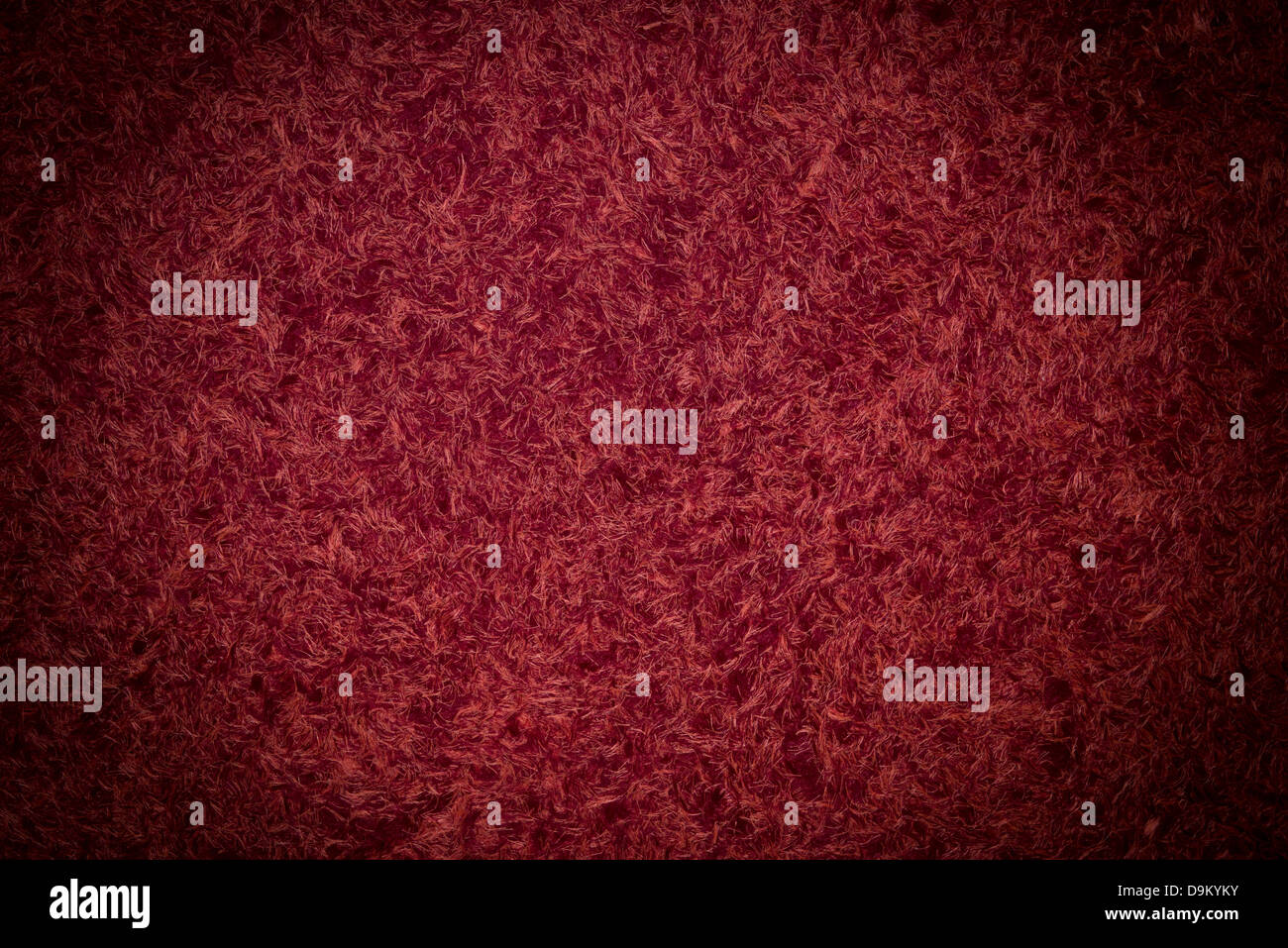 Burgundy floral vector hi-res stock photography and images - Alamy
