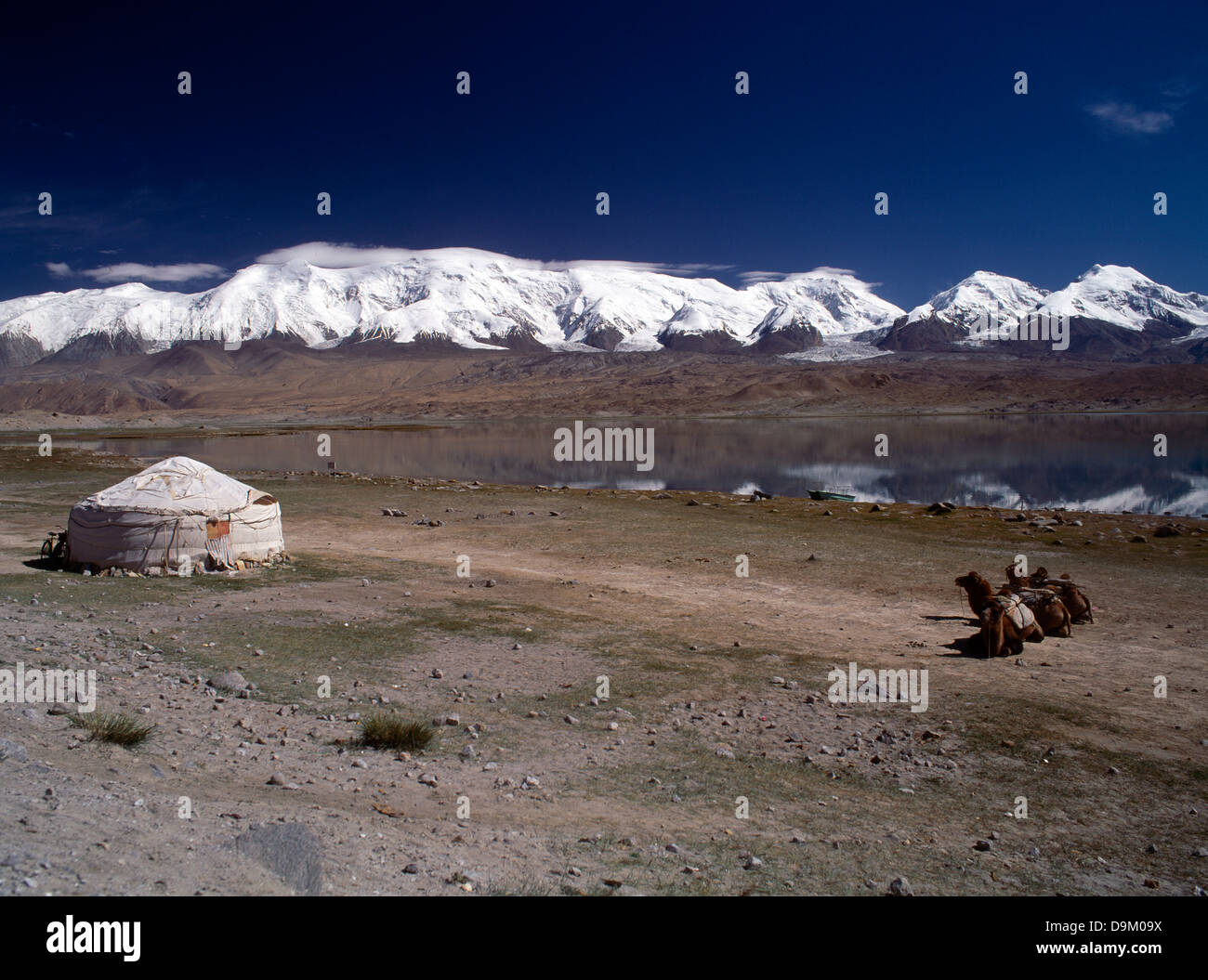 Karakul Lake Xinjiang China Mt Kongur 7719m Yurt & Camels Stock Photo ...