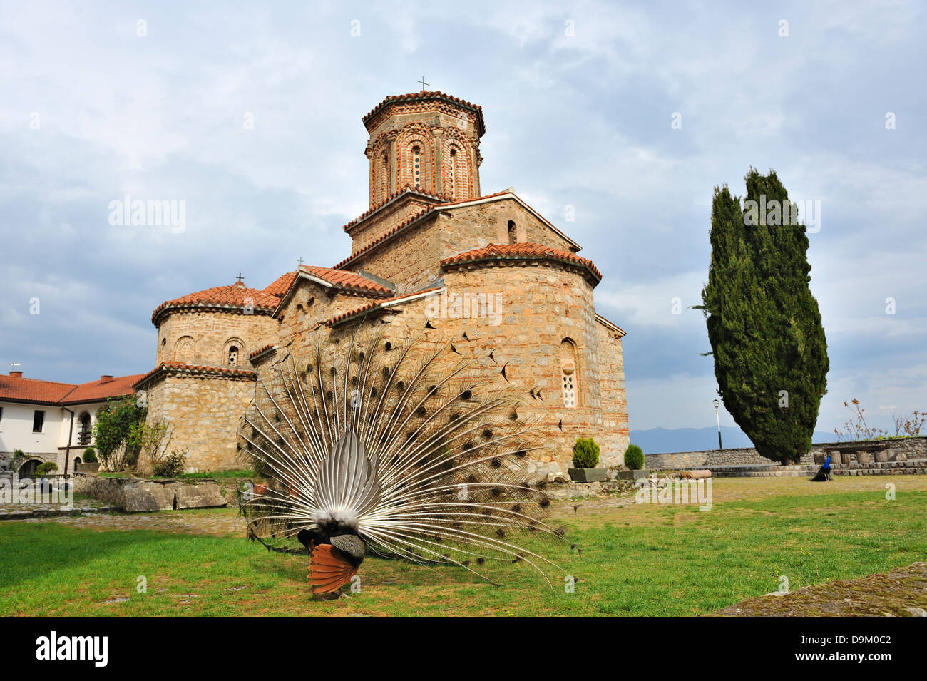 Peacock displaying at St Naum Monastery, Ohrid, Macedonia Stock Photo ...