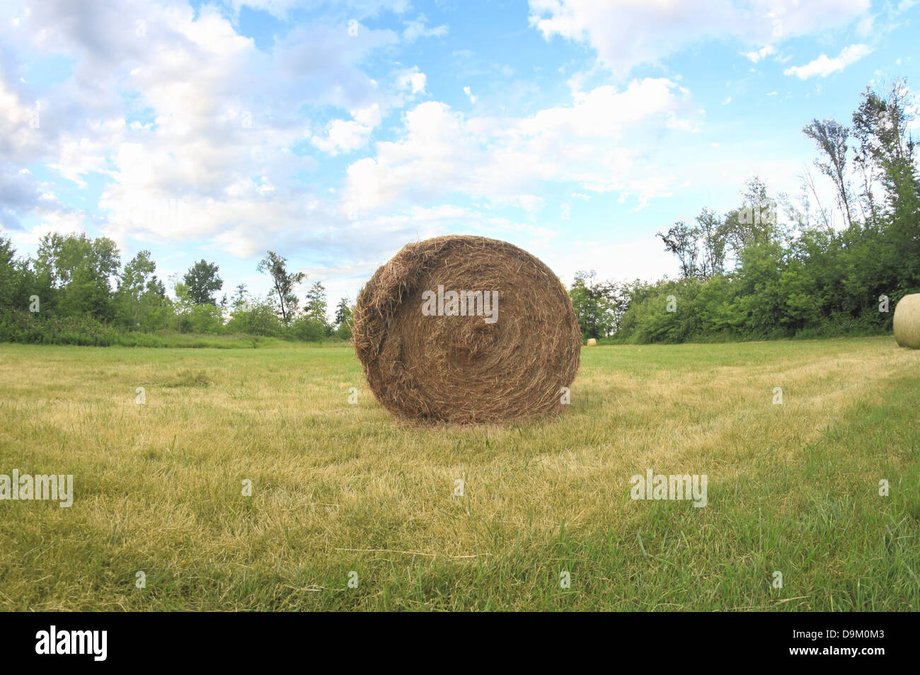 hay bale fish-eye view in summer time Stock Photo - Alamy