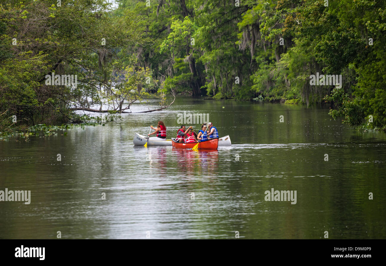 Young people enjoying a canoeing excursion on Florida's Suwannee River ...