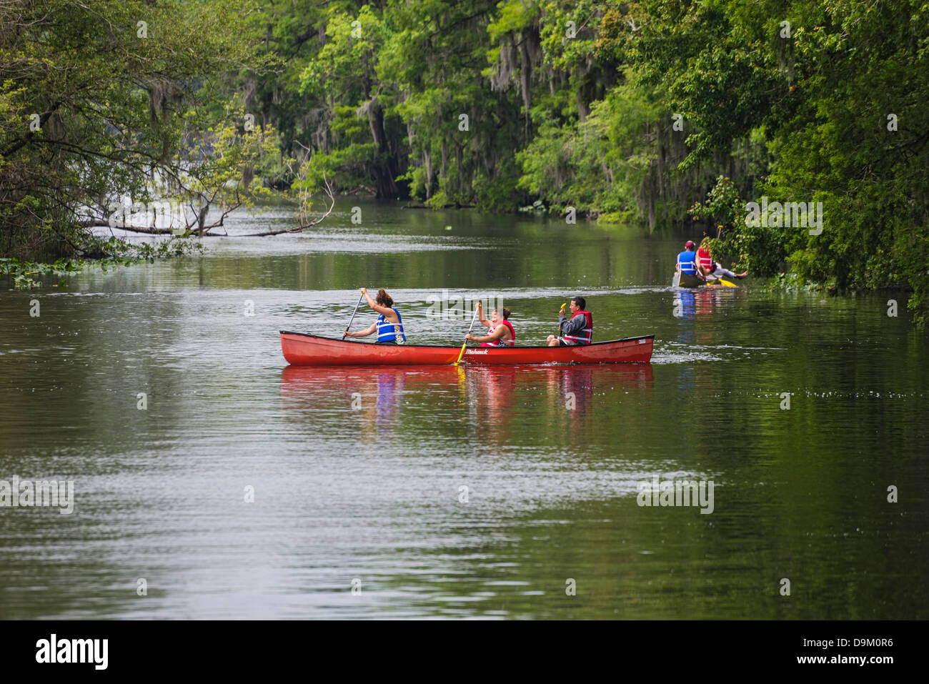 Young people enjoying a canoeing excursion on Florida's Suwannee River ...