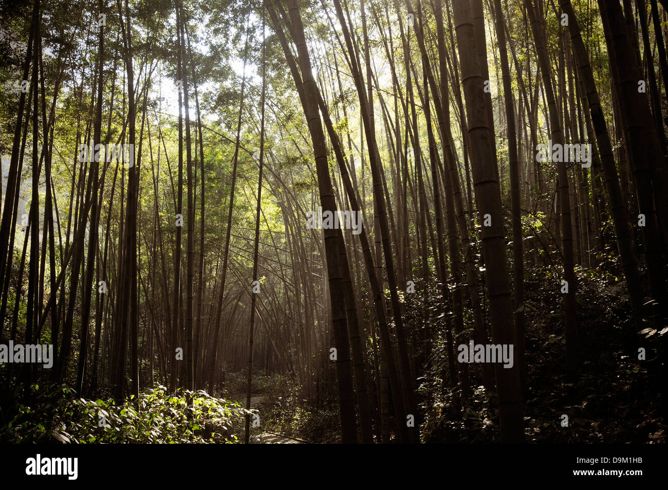 Life on Longhushan — one of China's most important sacred mountains for ...