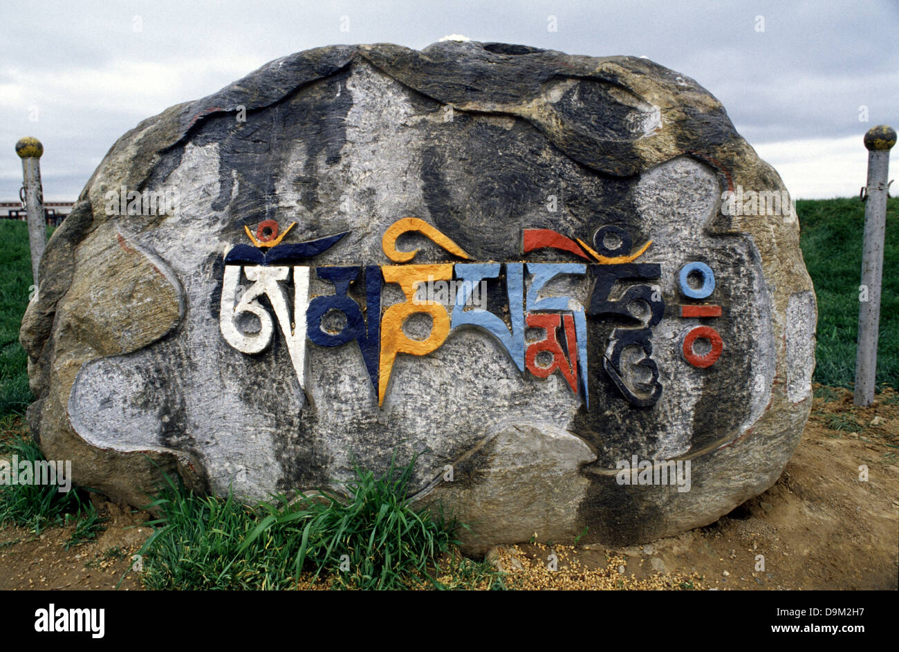 Koko sign language hi-res stock photography and images - Alamy