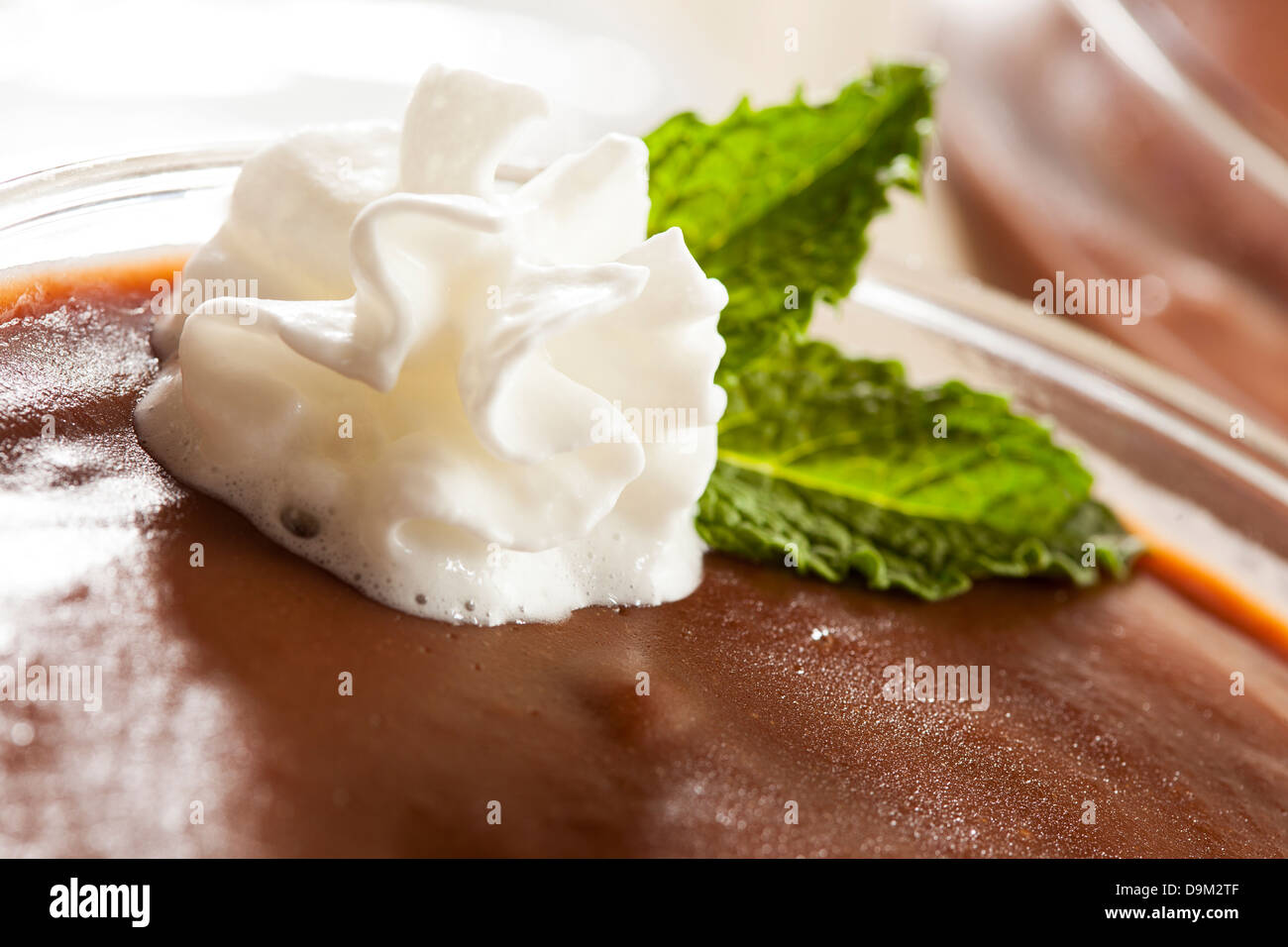 Hot Homemade Chocolate Pudding with whipped cream Stock Photo - Alamy