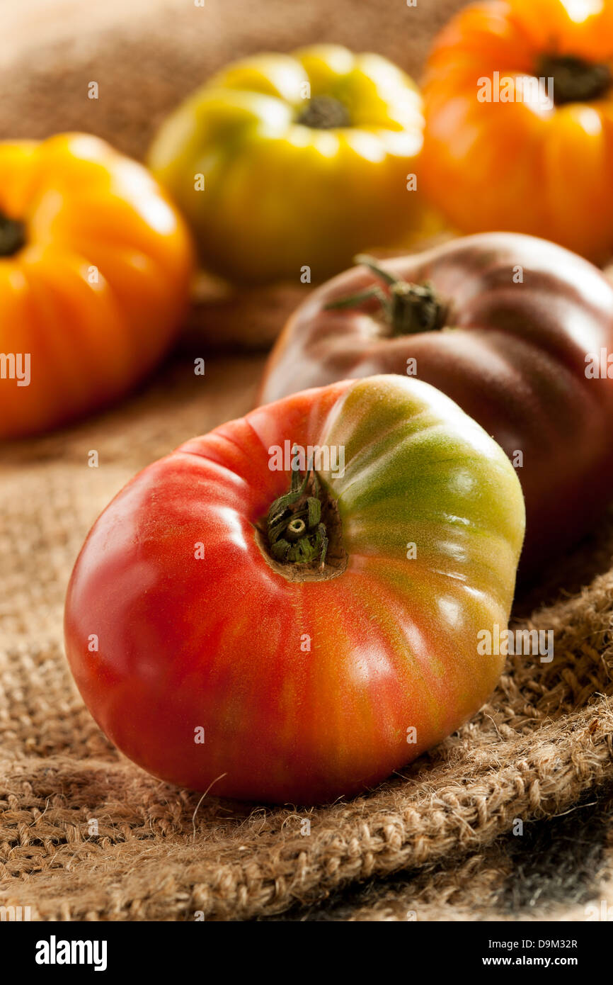 Heirloom tomato variety hi-res stock photography and images - Alamy