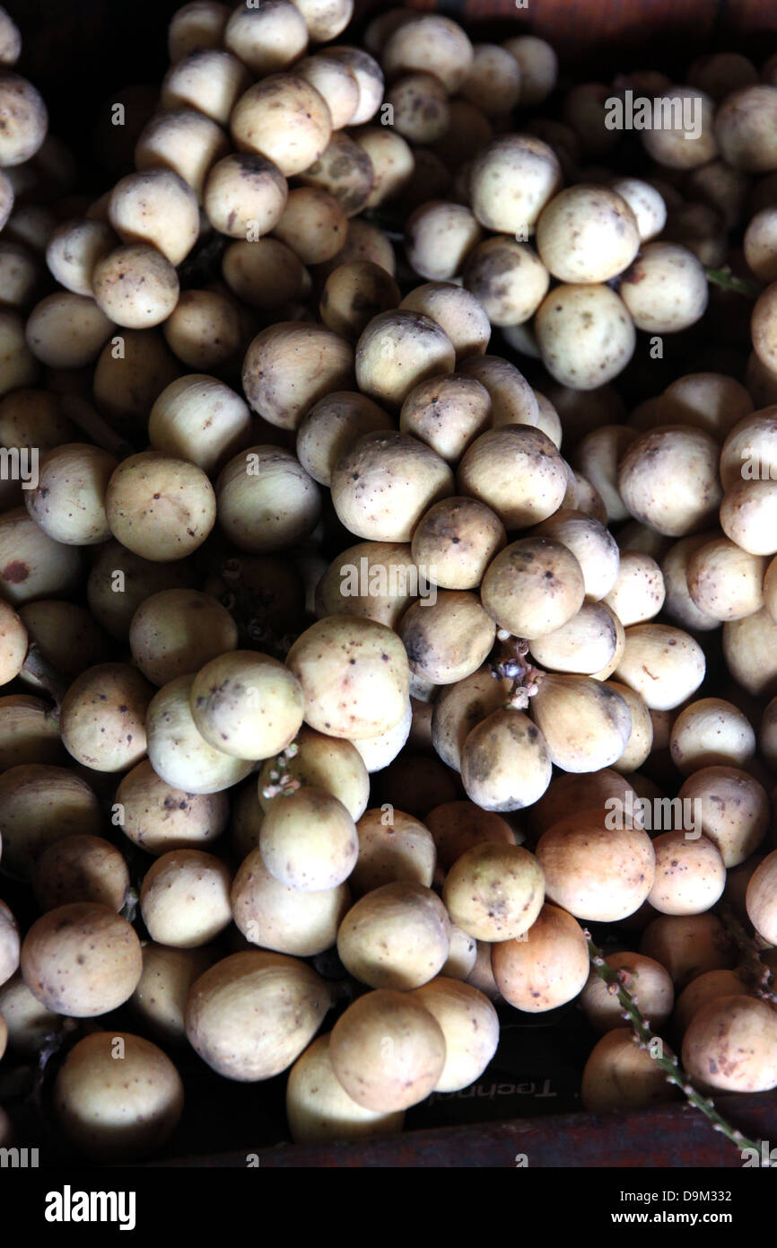 The Lansium is domestic fruit in Thailand Stock Photo - Alamy