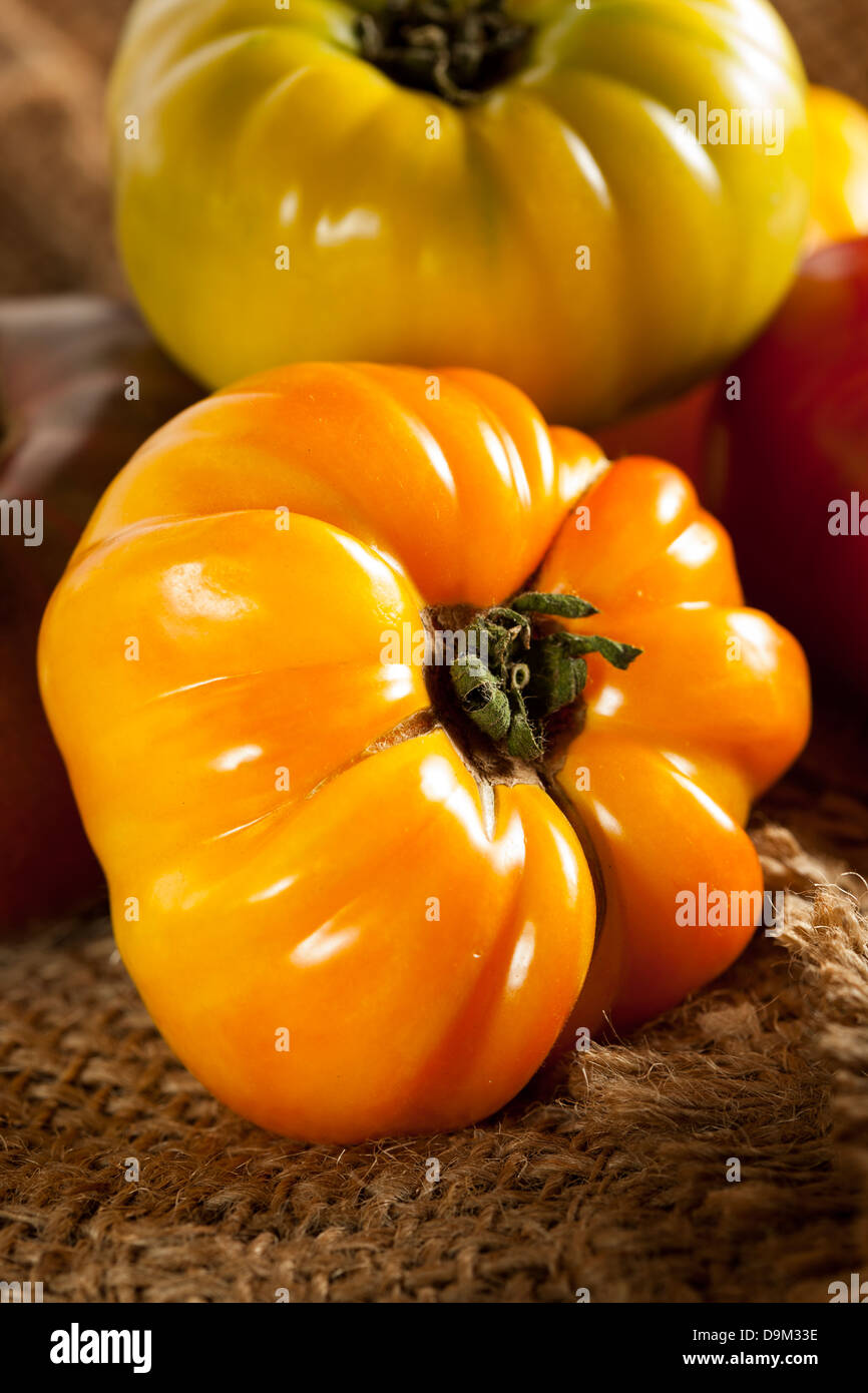 Heirloom tomato variety hi-res stock photography and images - Alamy