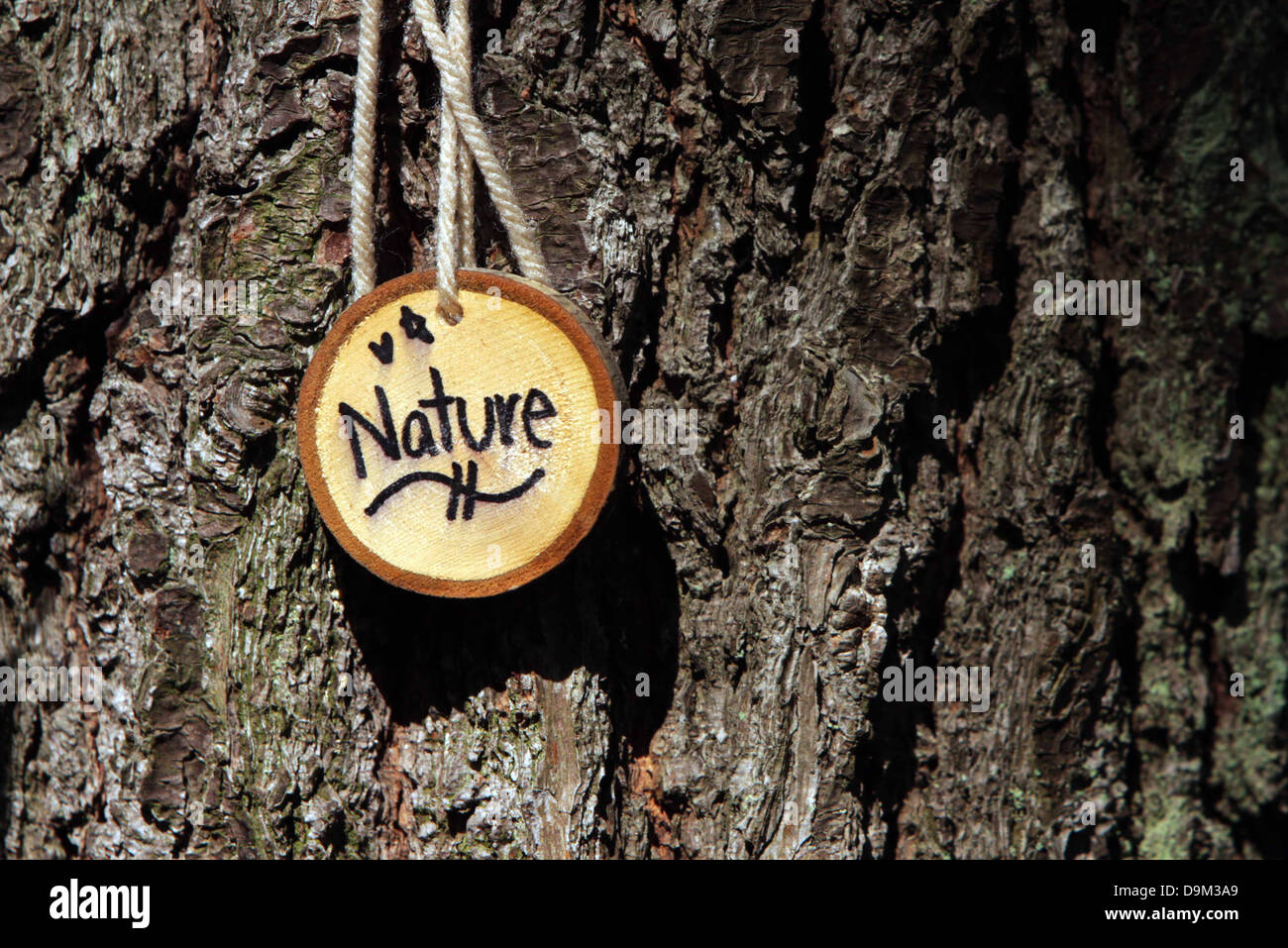 handwriting of black ink, nature, wood tag hanging on maple tree bark ...