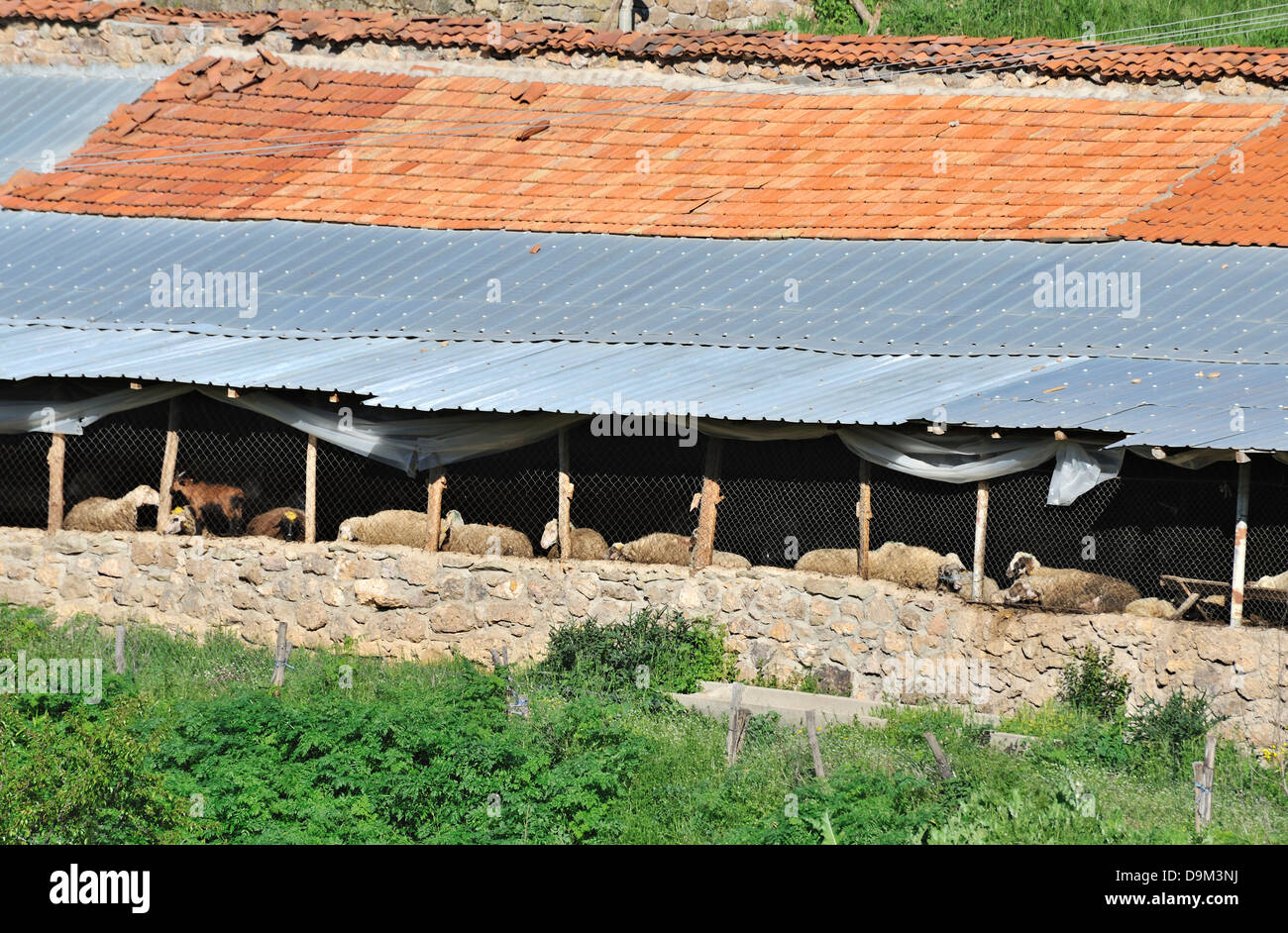 Sheep fold hi-res stock photography and images - Alamy