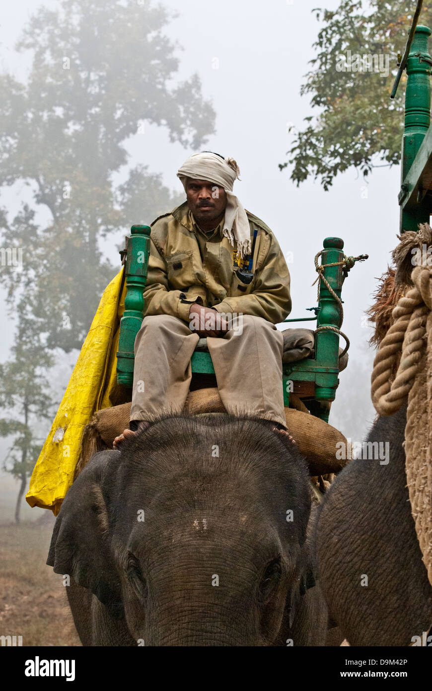 Forest ranger on elephant patrolling for tiger poachers in Kanha ...